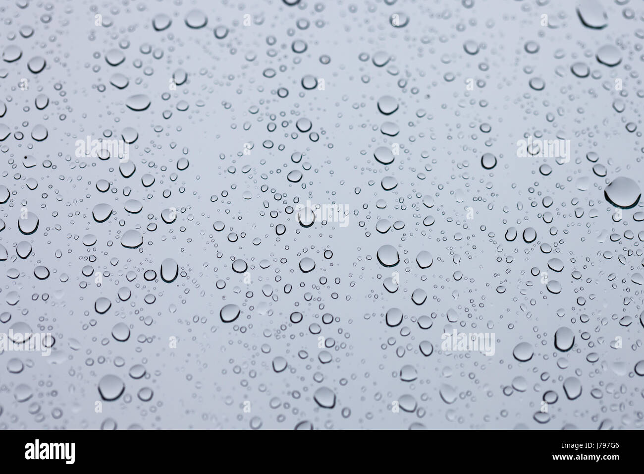Water drops on glass white abstract background Stock Photo - Alamy