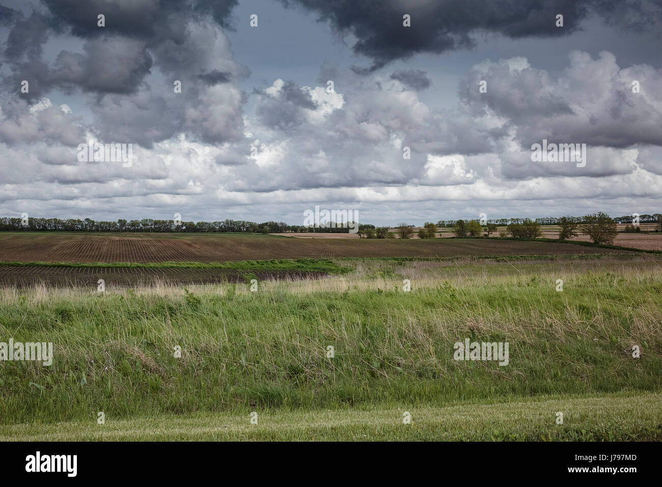 Farm scenes hi-res stock photography and images - Alamy