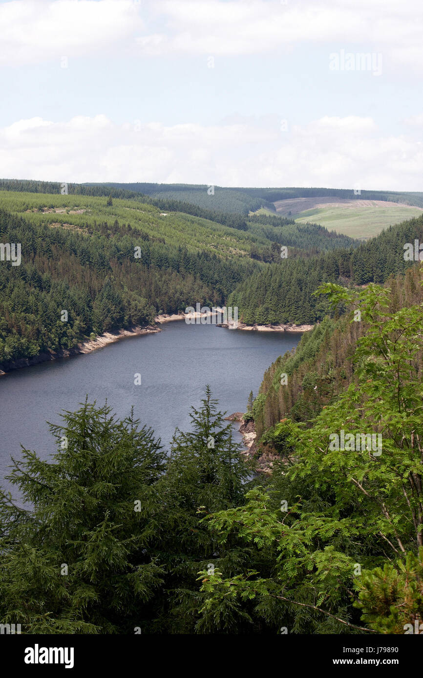fresh water lake inland water water fluid liquid tree trees fields ...