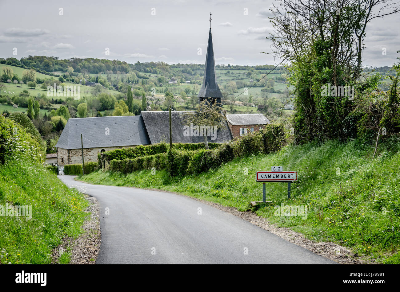 House of normandy family tree hi-res stock photography and images - Alamy