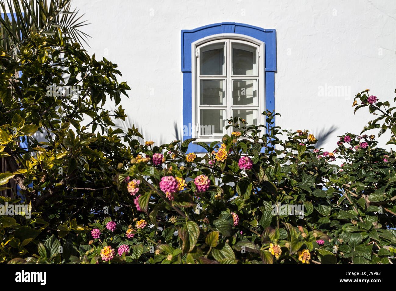 Colors of Portugal, Windows, Doors, Facades Stock Photo - Alamy