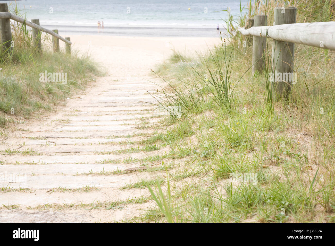 beach seaside the beach seashore summer summerly coast path way salt ...