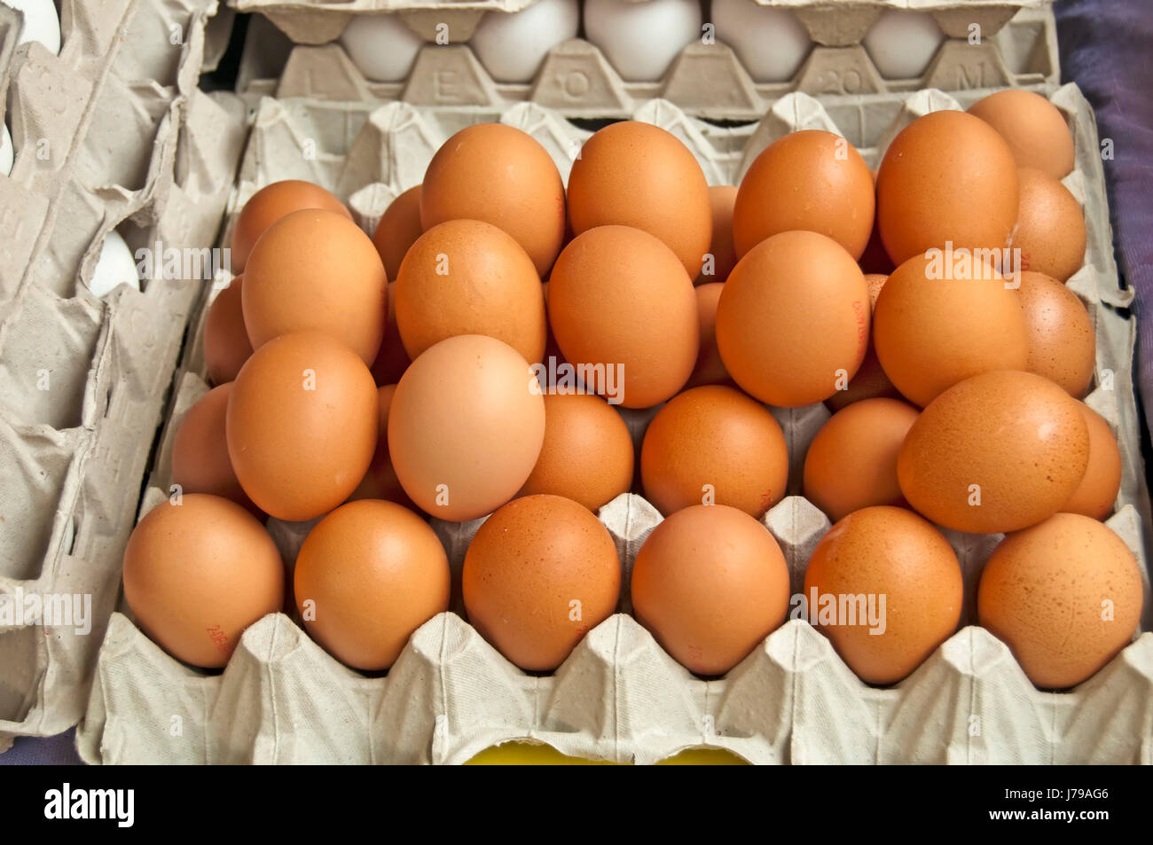 Egg Eggs Product Offer Fresh Food Aliment Boil Cooks Boiling Cooking