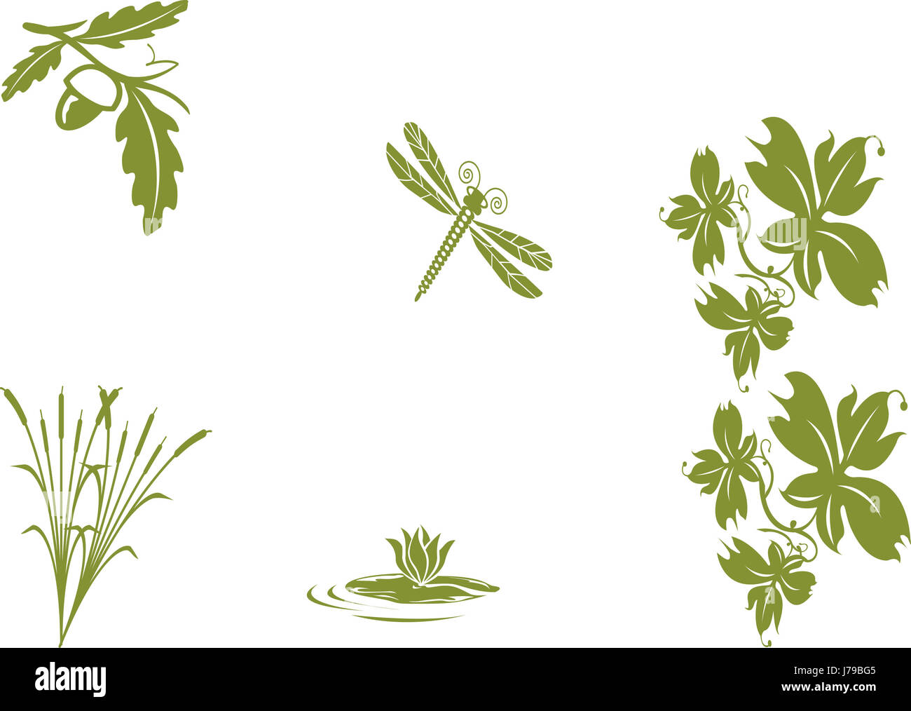 insect illustration facilitate ease resting relax recover relaxing ...