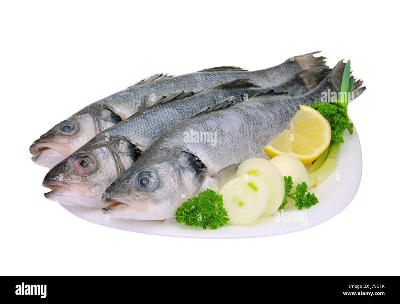 seabass - seabass 01 Stock Photo - Alamy