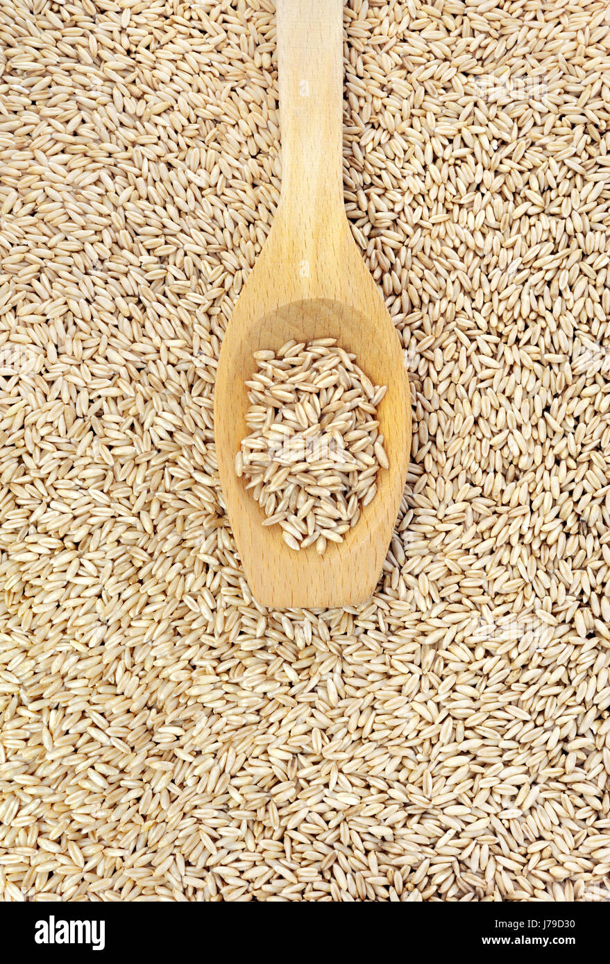 Haver plant hi-res stock photography and images - Alamy