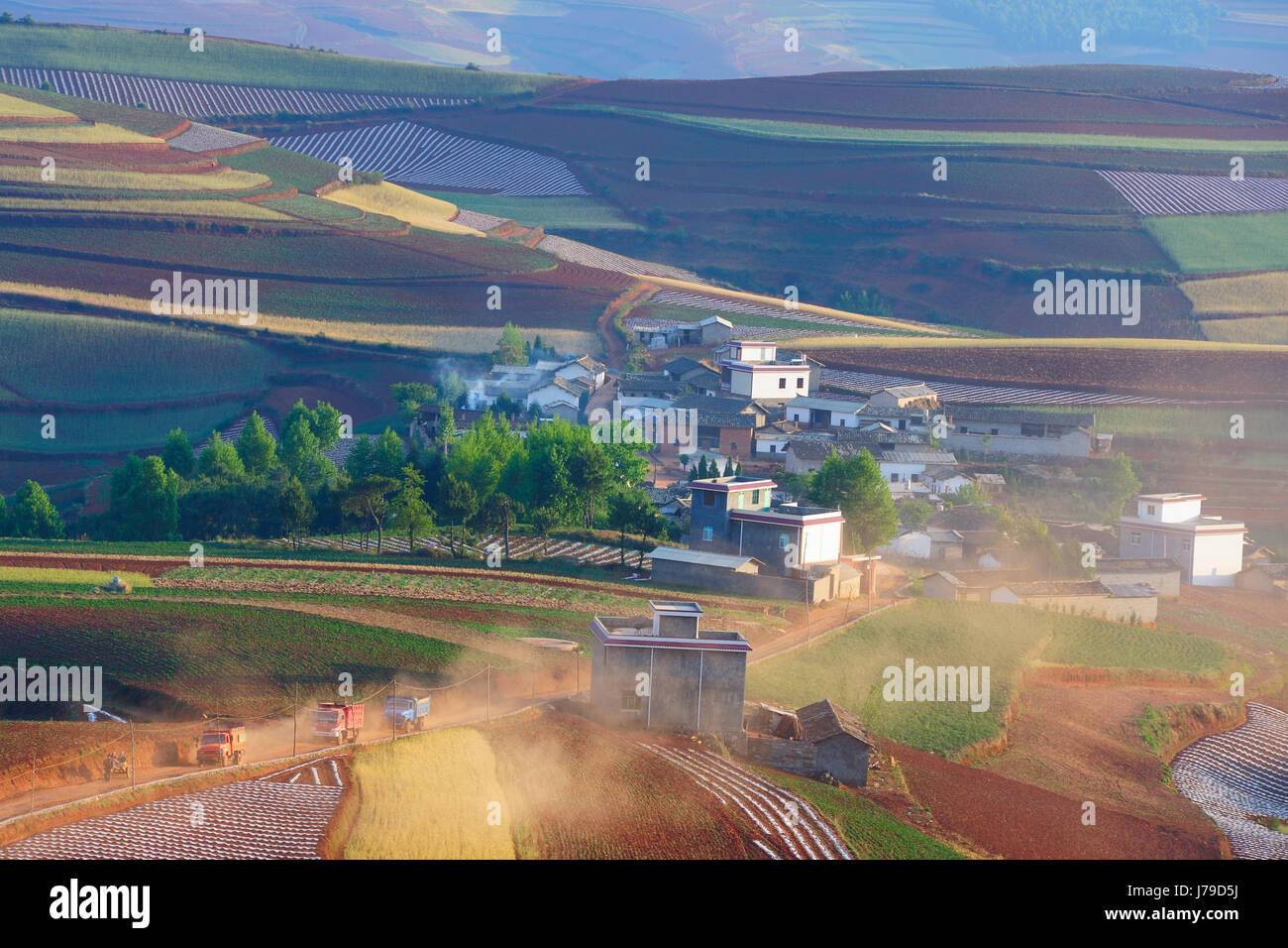 asia agriculture farming field china landscape scenery countryside ...