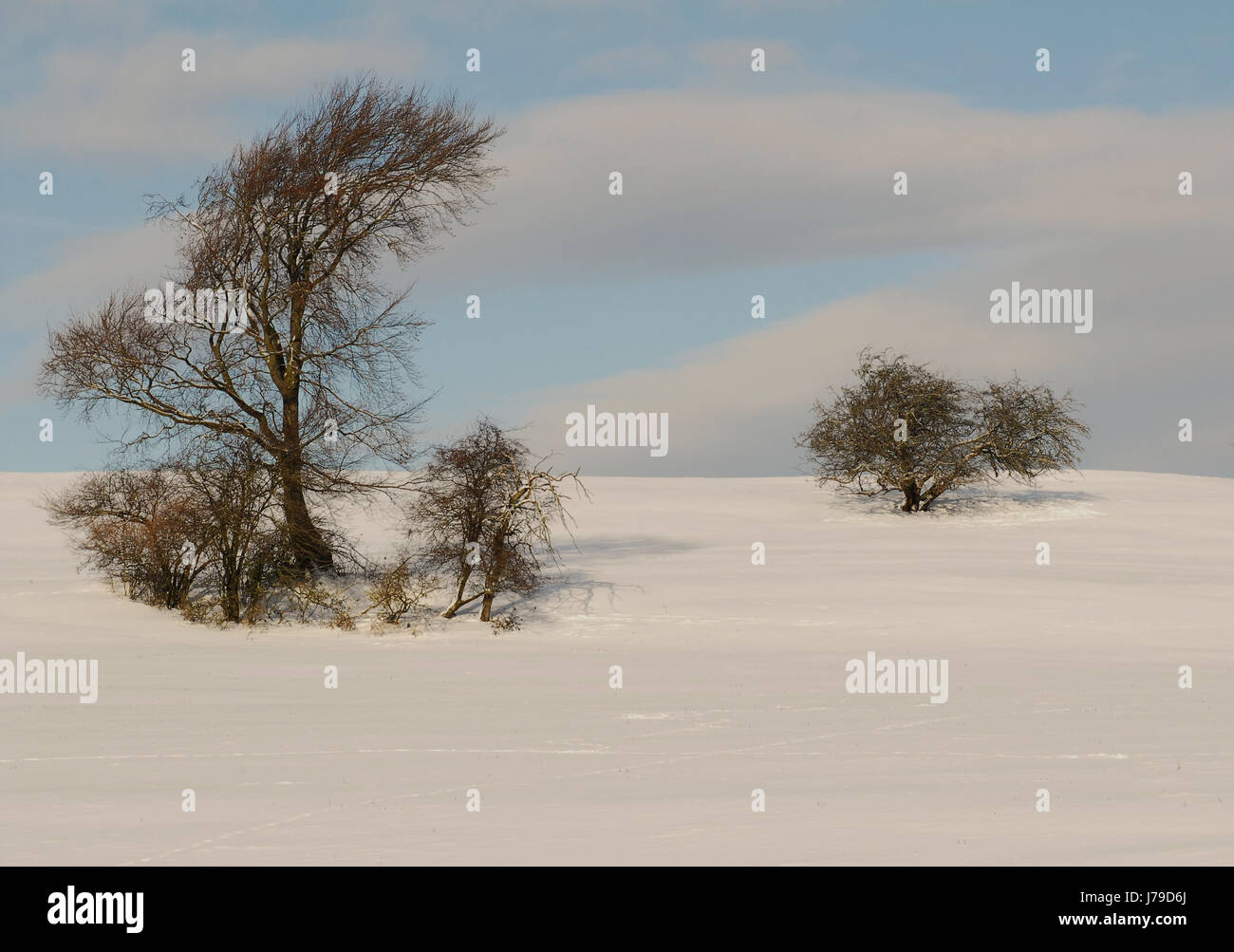 Thin landscape hi-res stock photography and images - Alamy