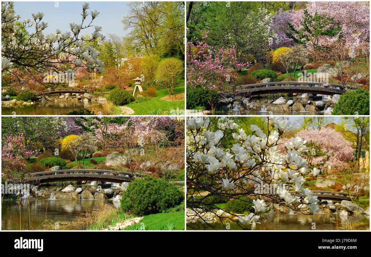 spring is here Stock Photo - Alamy
