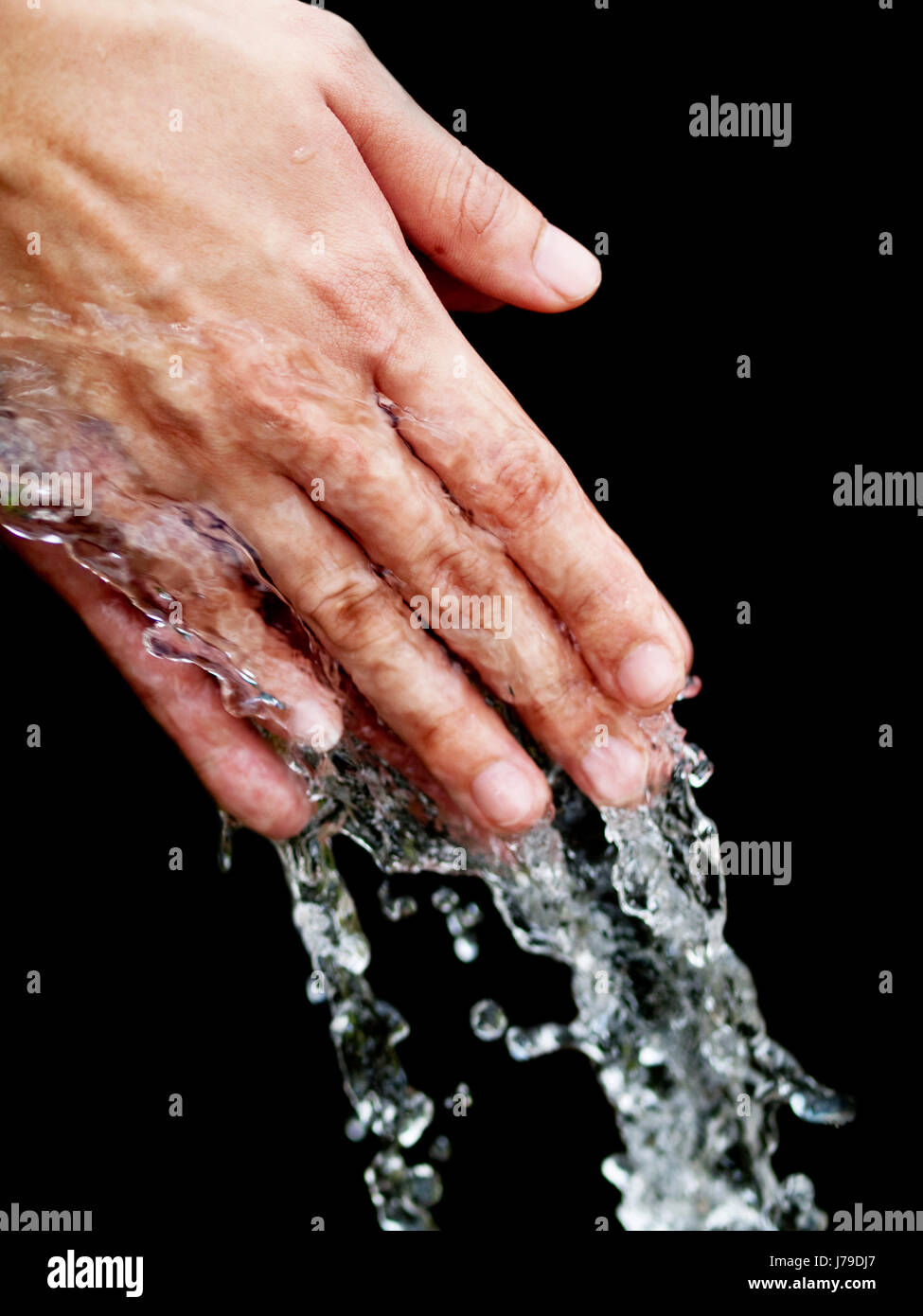 woman humans human beings people folk persons human human being hand ...