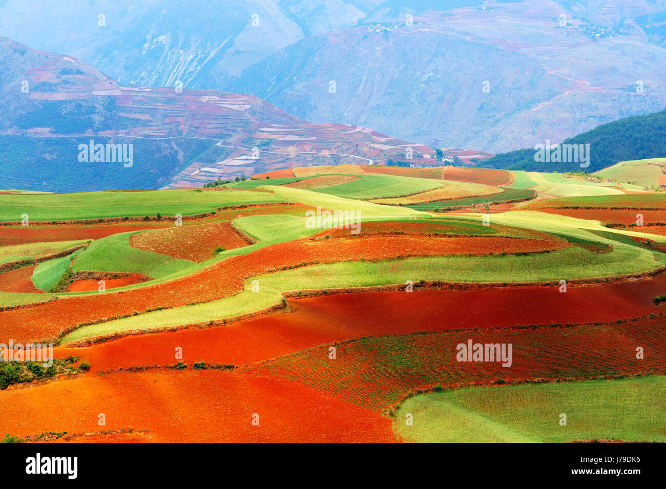 asia agriculture farming field china landscape scenery countryside ...