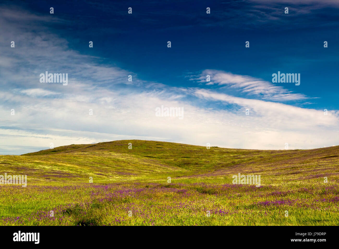 field spring season landscape scenery countryside nature meadow ...