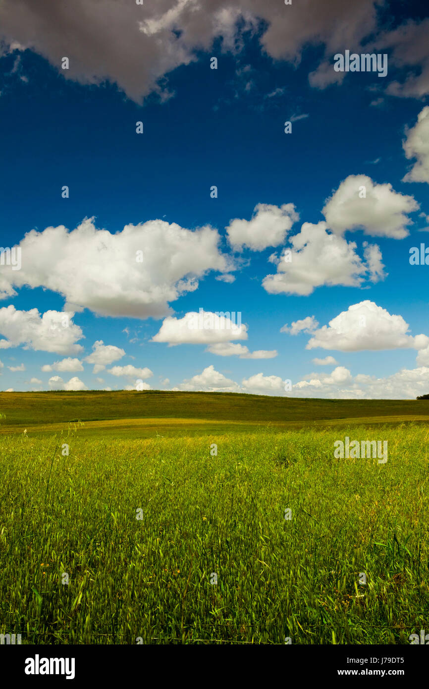 field spring season landscape scenery countryside nature meadow ...
