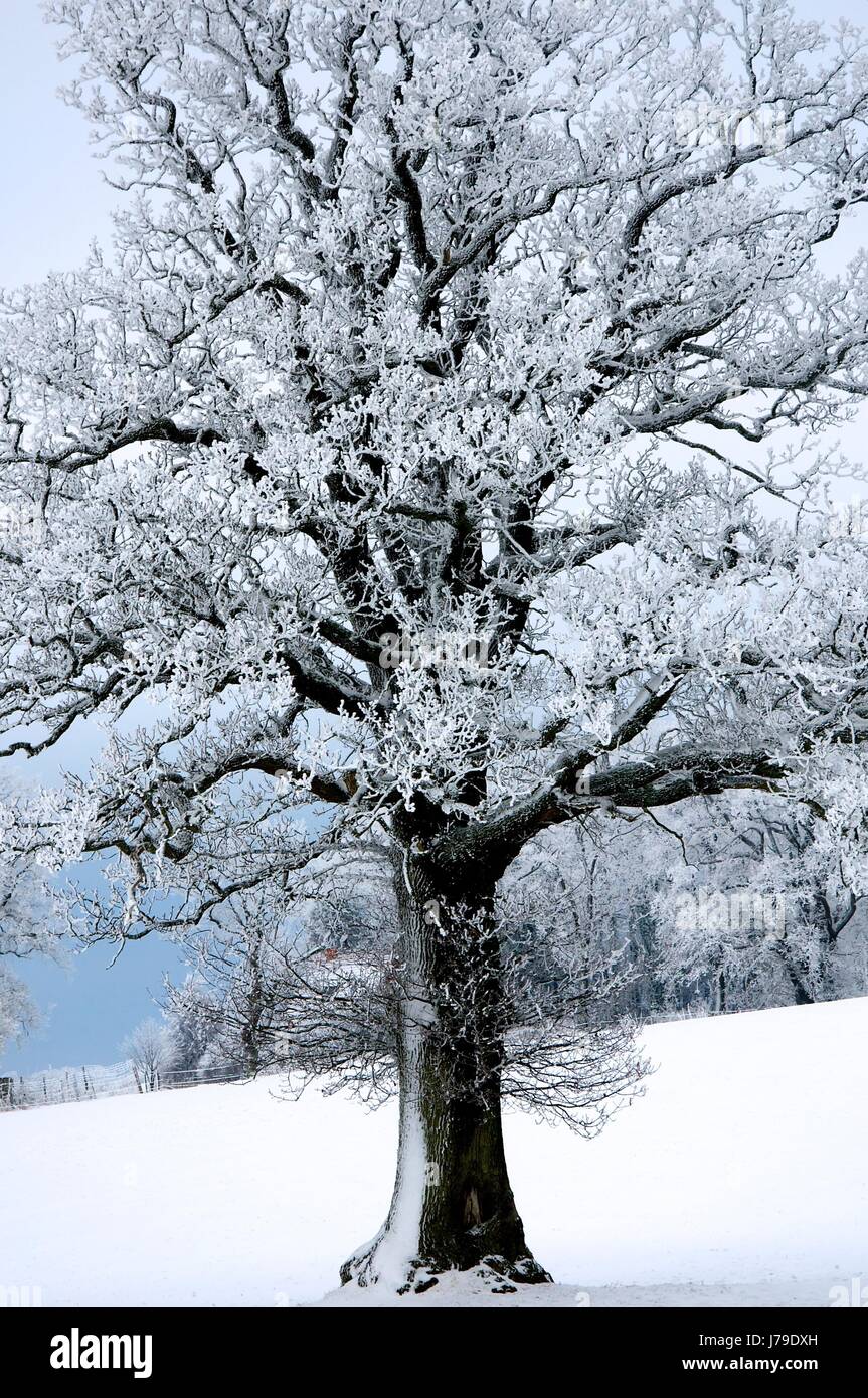 single big large enormous extreme powerful imposing immense relevant ...