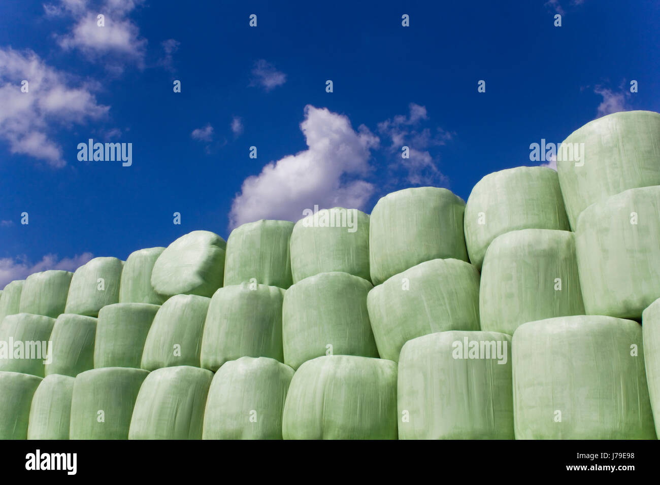 hay bales in summer - packaged Stock Photo - Alamy