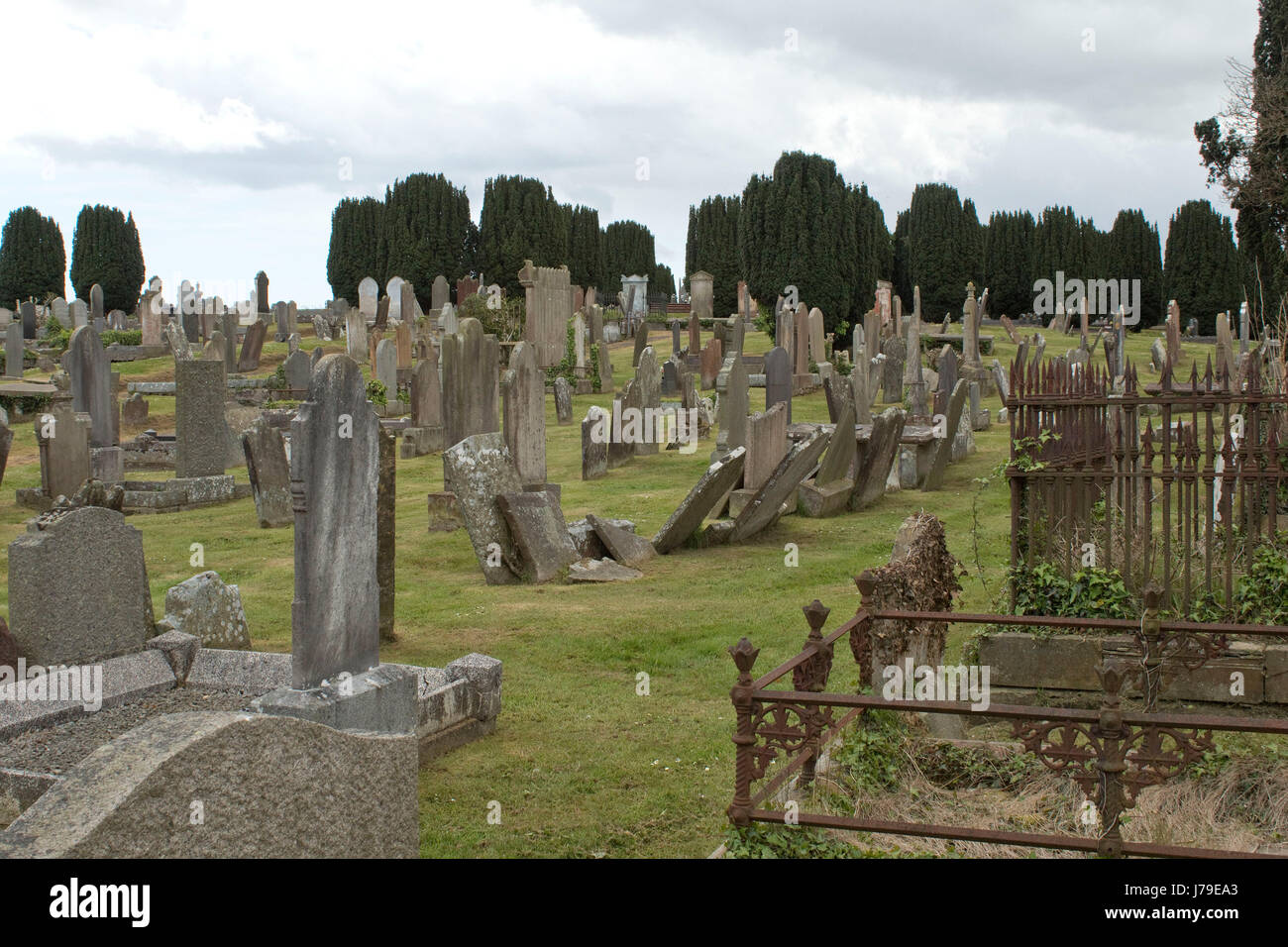 Headstones in an old cemetery in Newtownards Co Down Northern Ireland ...