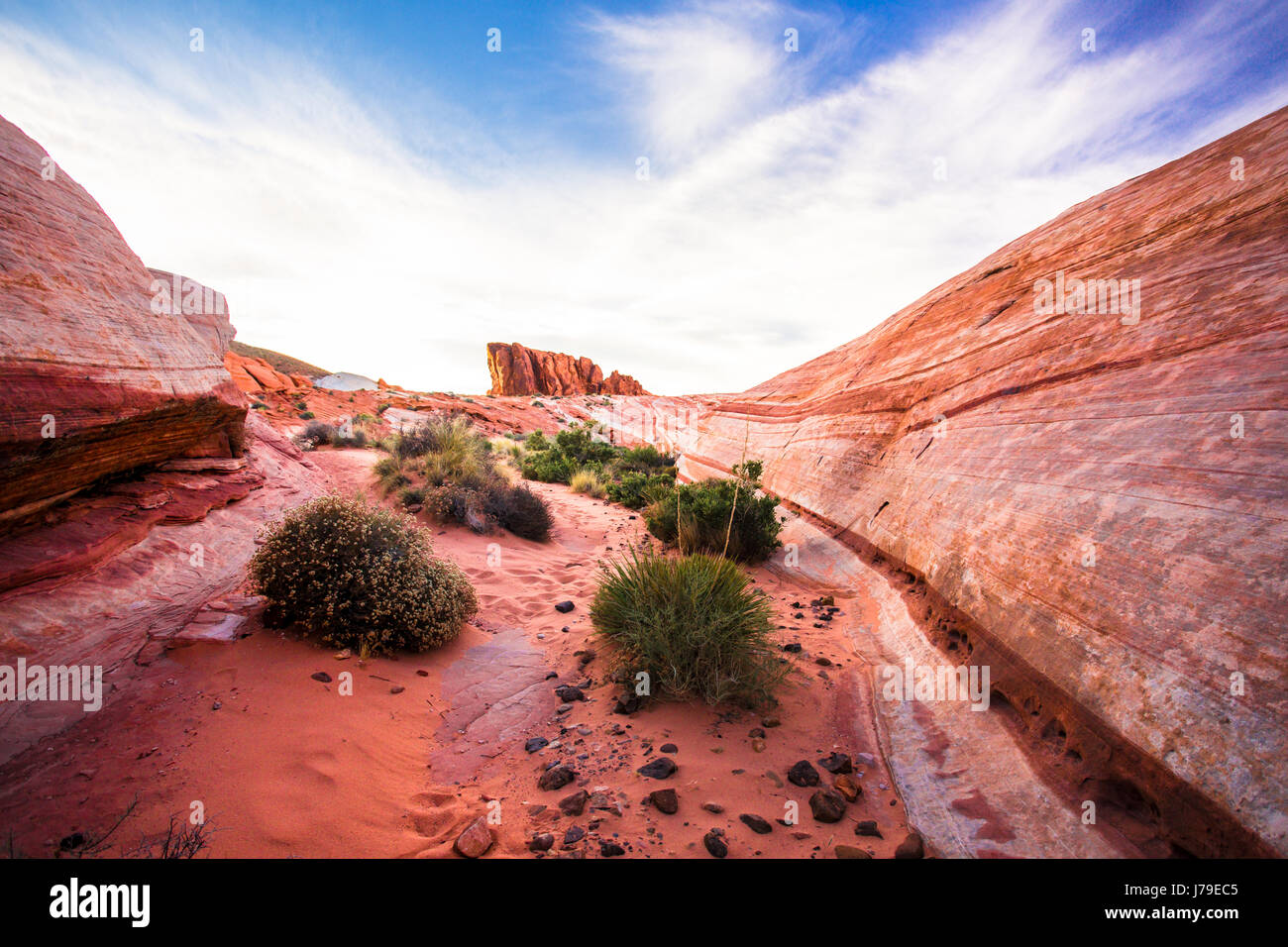 Valley of Fire State Park, Nevada. Fire Wave formation Stock Photo - Alamy