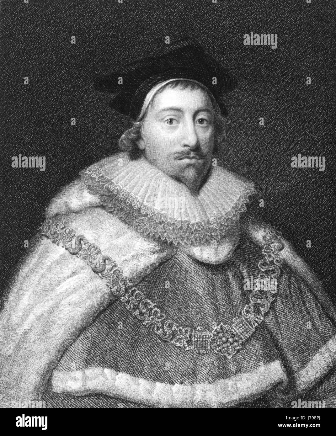 humans human beings people folk persons human human being famous ...