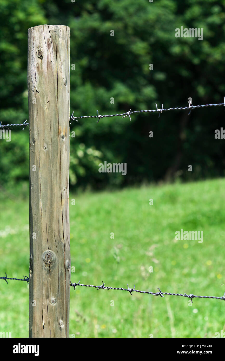 wooden pole with barbed wire Stock Photo - Alamy