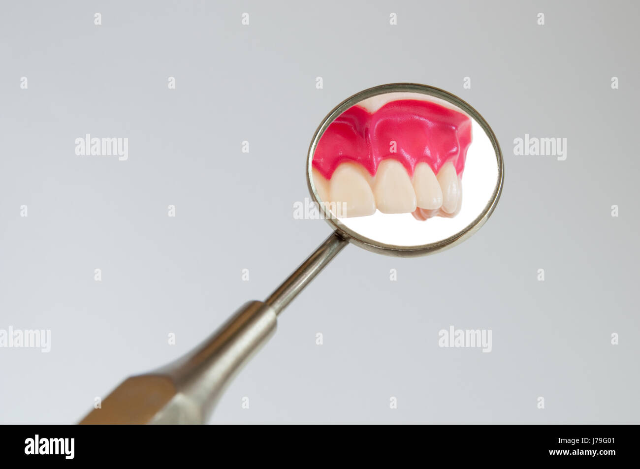 Anatomie dental hi-res stock photography and images - Alamy