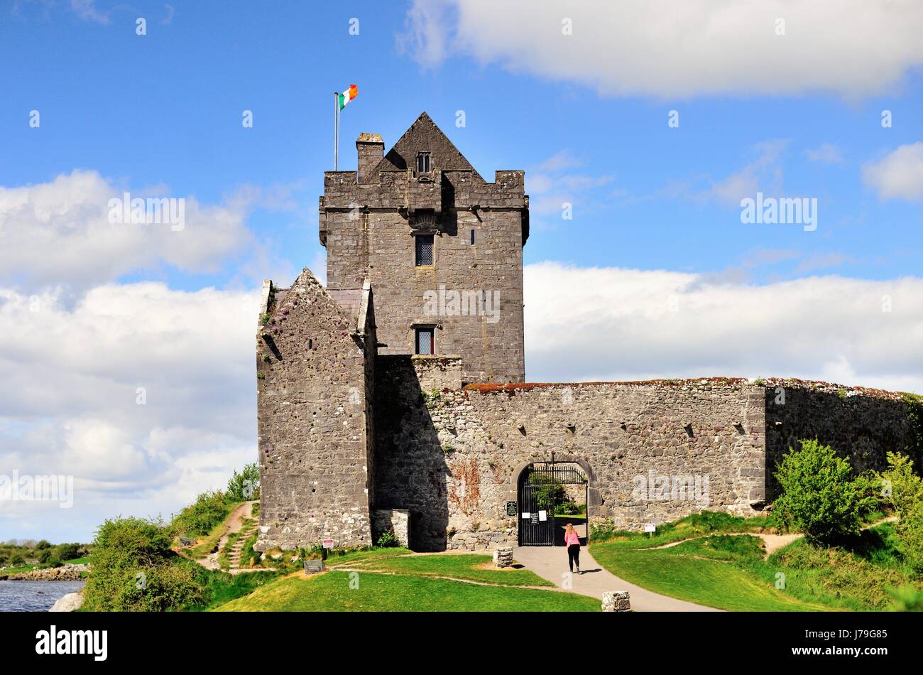 Dunguaire Castle in Kinvara, County Galway, Ireland. Dunguaire Castle ...