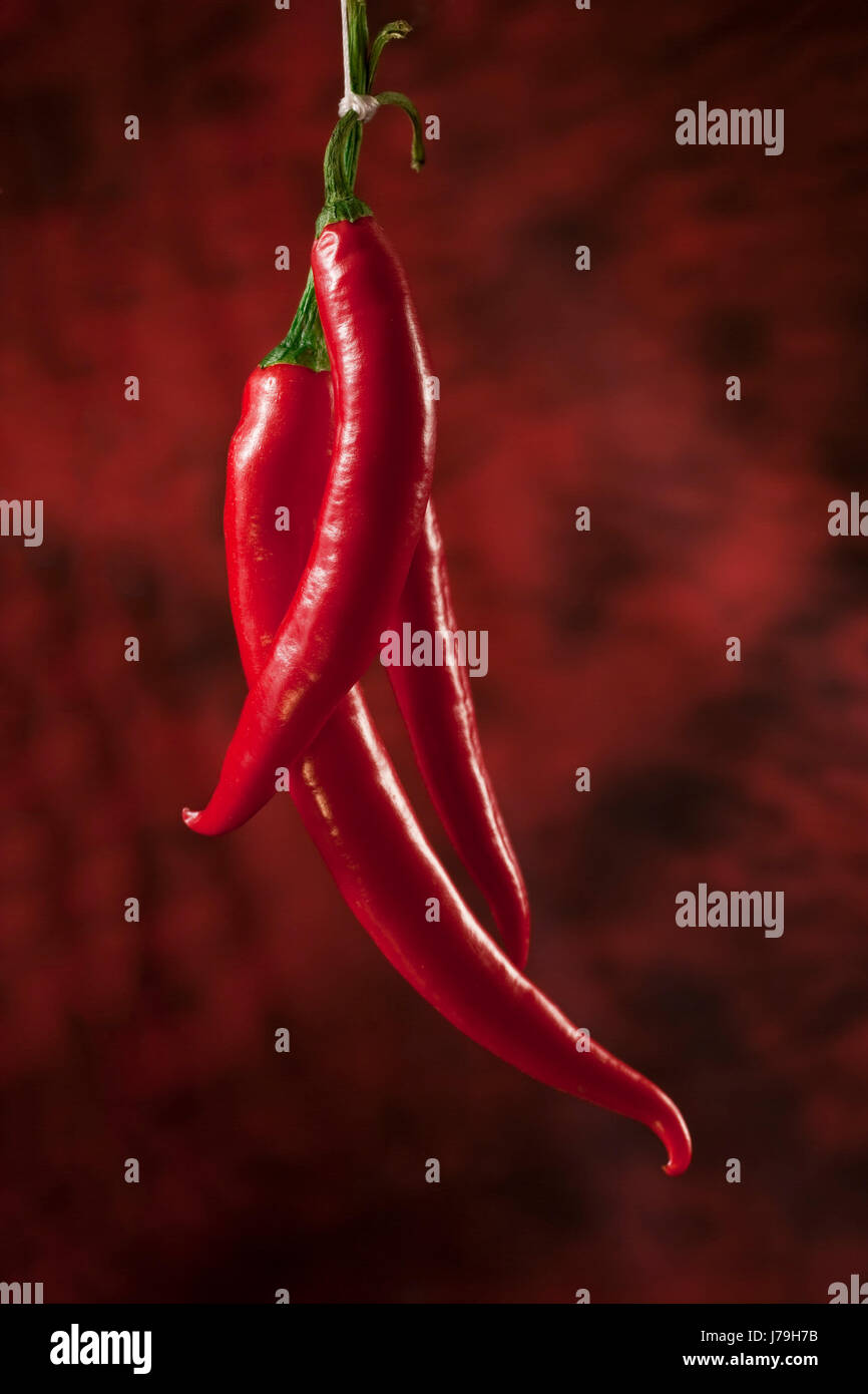 pepper spice hot vegetable bundle chilli chili red fresh food aliment ...