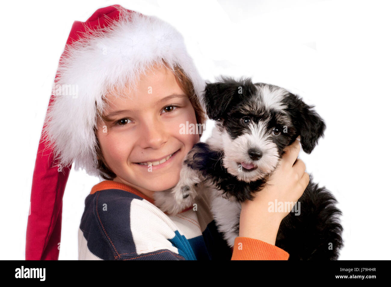 puppy boy lad male youngster powder-puff animal boy canine child ...