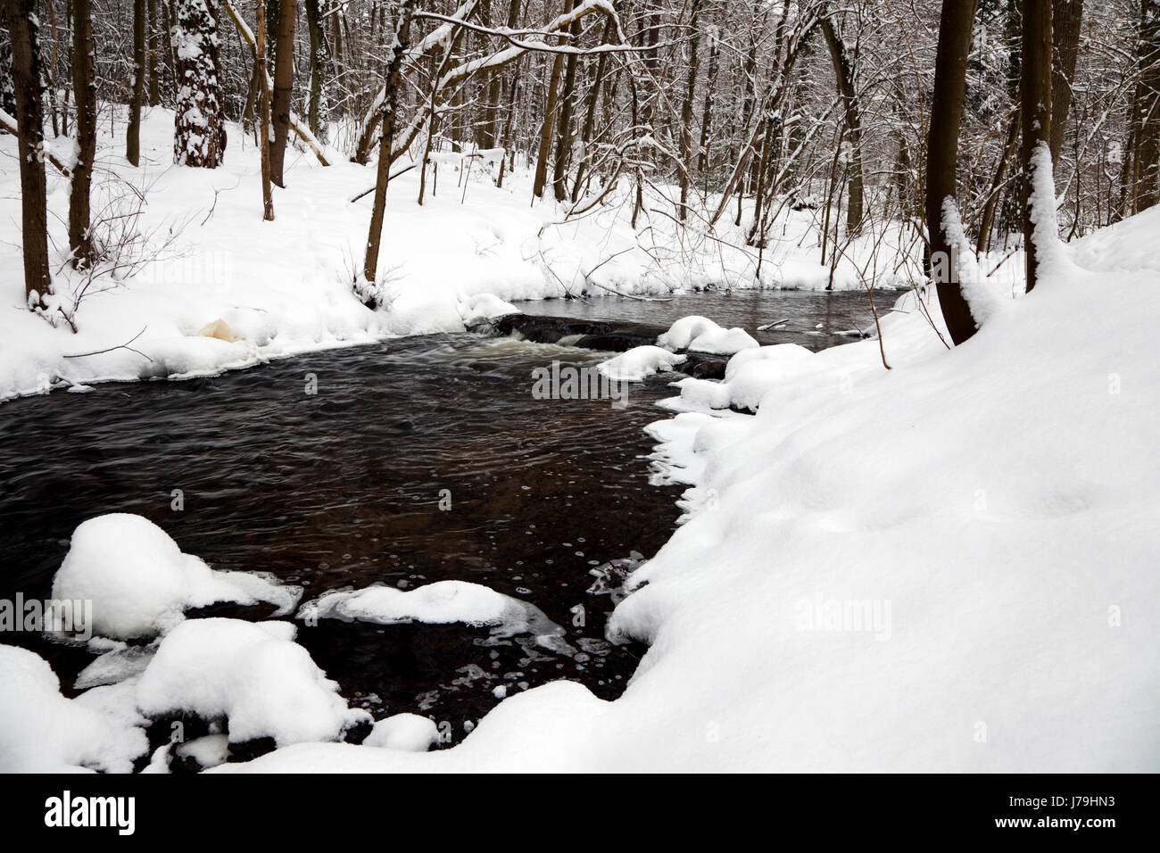 forest stream in winter Stock Photo - Alamy