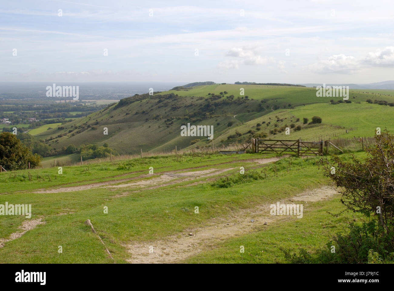 field england hedge scenery countryside nature meadow grass lawn green ...