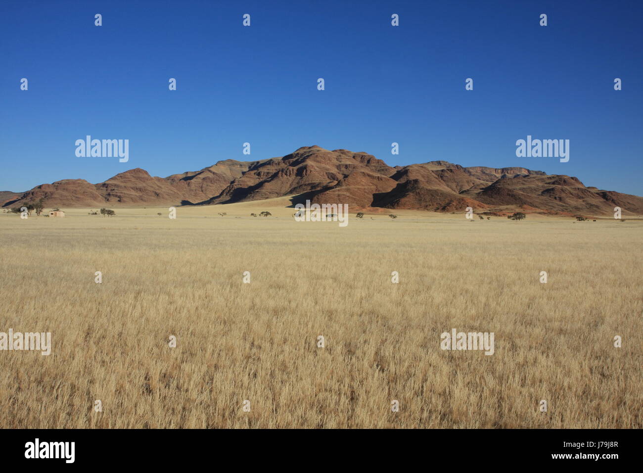 africa namibia track sign signal traffic sign mountain travel ...