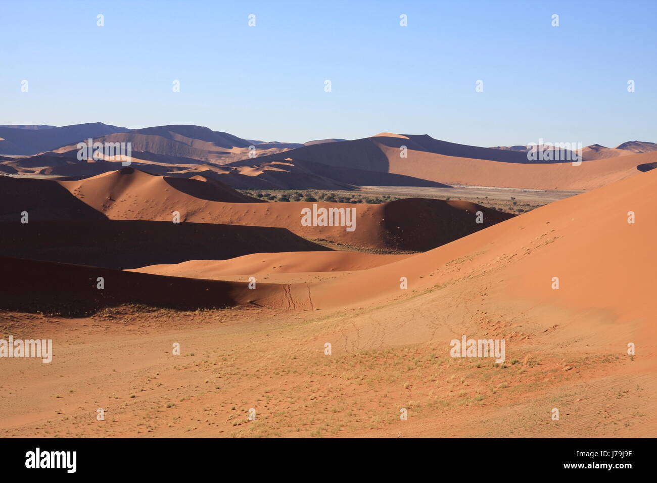 namib desert in namibia Stock Photo - Alamy