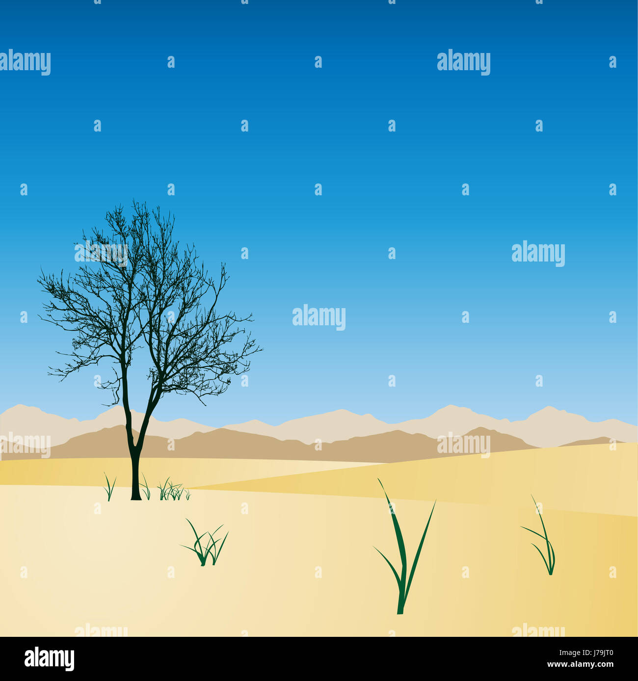 tree desert wasteland landscape scenery countryside nature beautiful ...