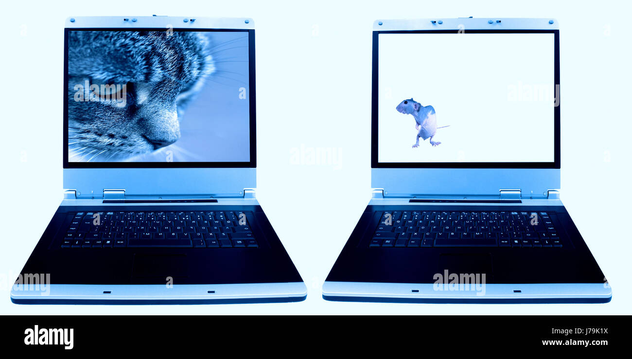 laptop notebook computers computer monitor open pattern collection ...