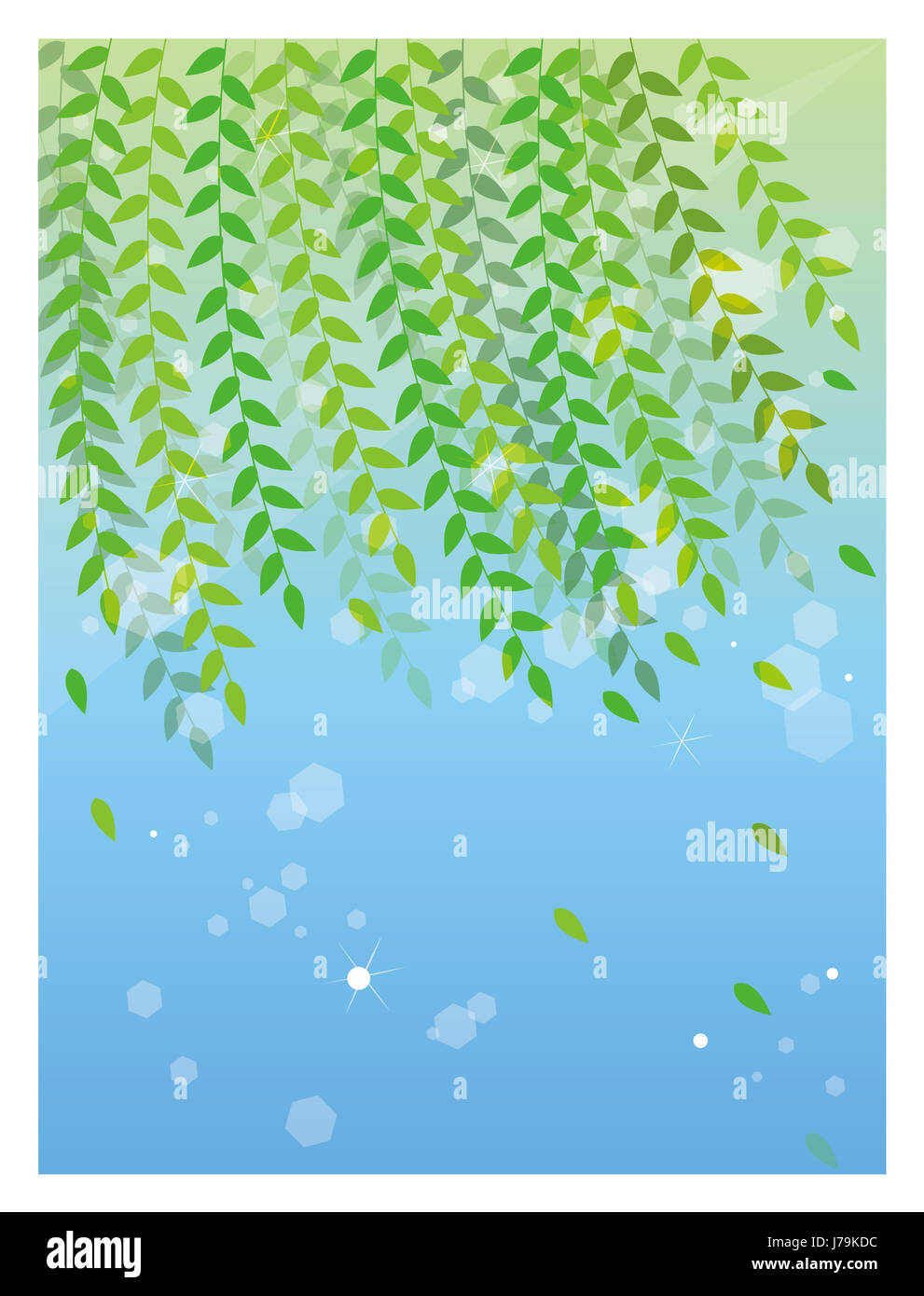 Overhanging foliage Cut Out Stock Images & Pictures - Alamy