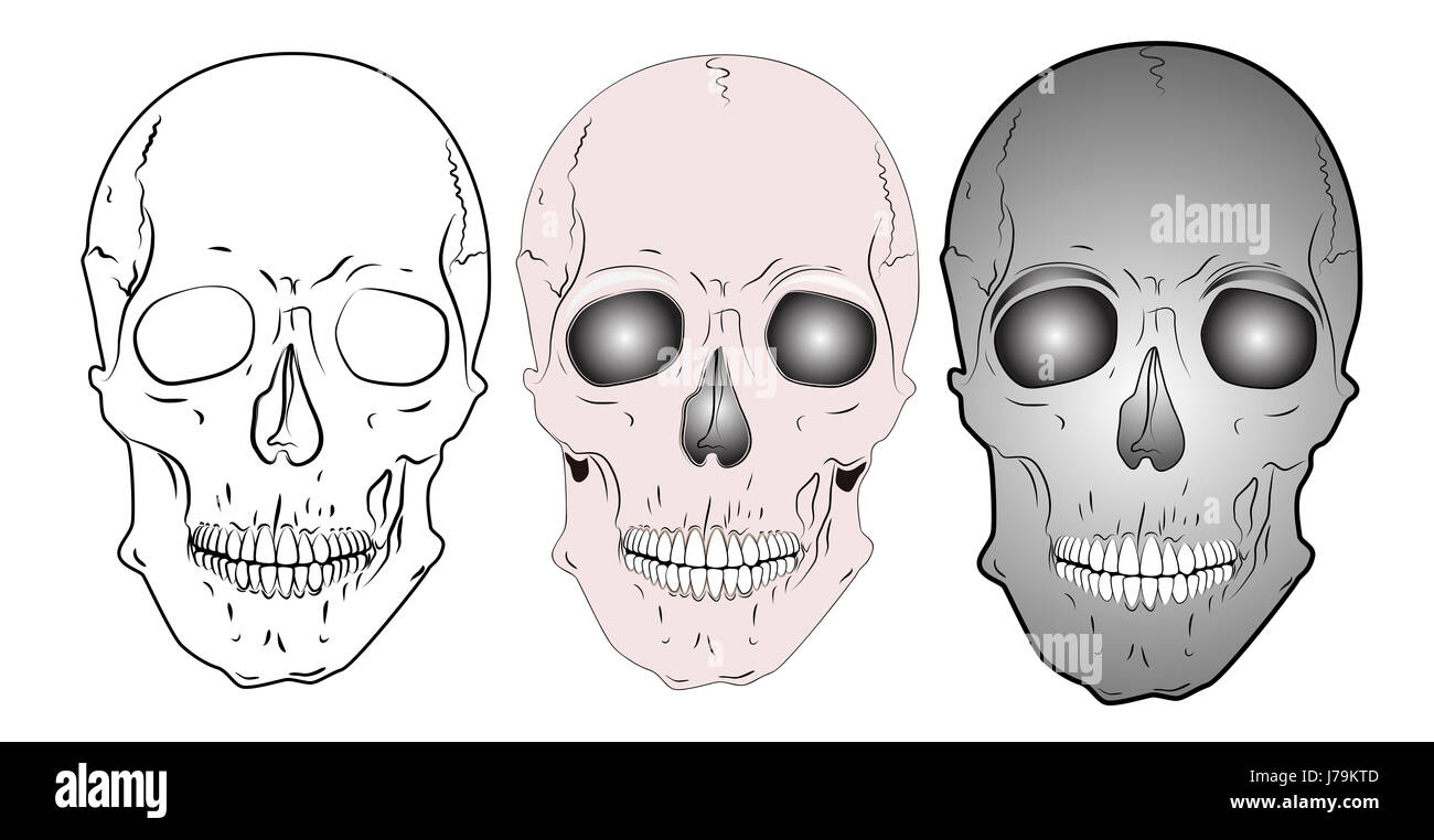 danger skull scary halloween spooky horror head danger isolated ... danger skull scary halloween spooky horror head danger isolated ...