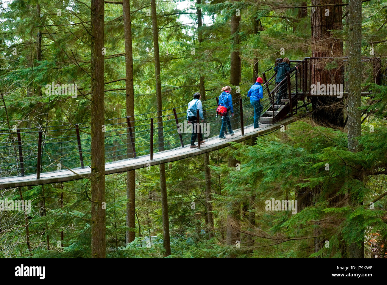 Treetops adventure in Capilano Park, Vancouver, British Columbia ...