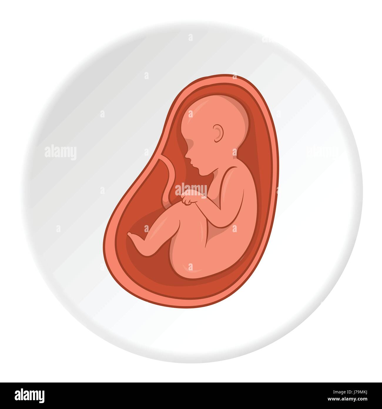 Baby Embryo