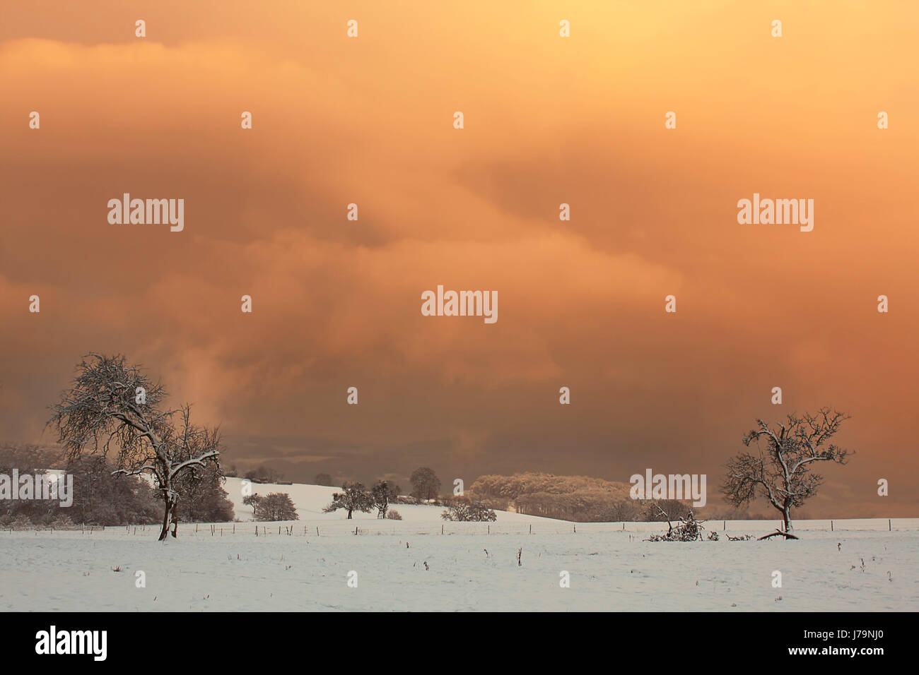 winter cold sunset twilight idyll scenery countryside nature clouds ...