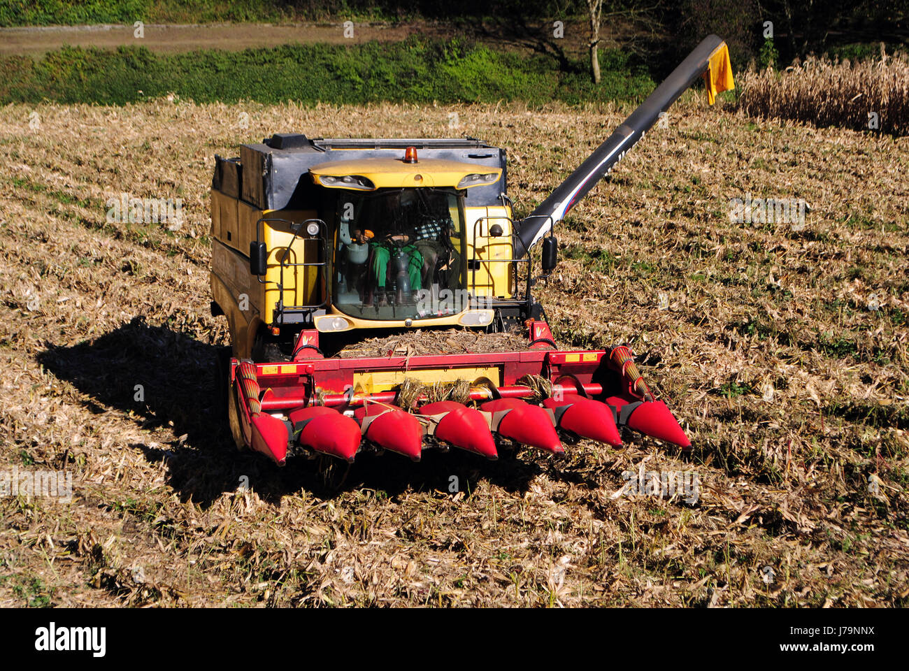 Hay blades hi-res stock photography and images - Alamy