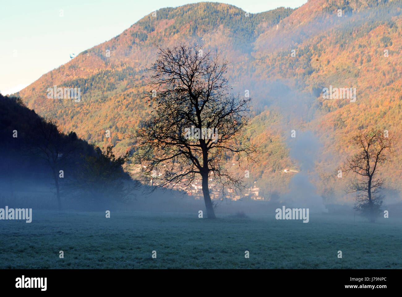 morning landscape scenery countryside nature image photo picture copy ...