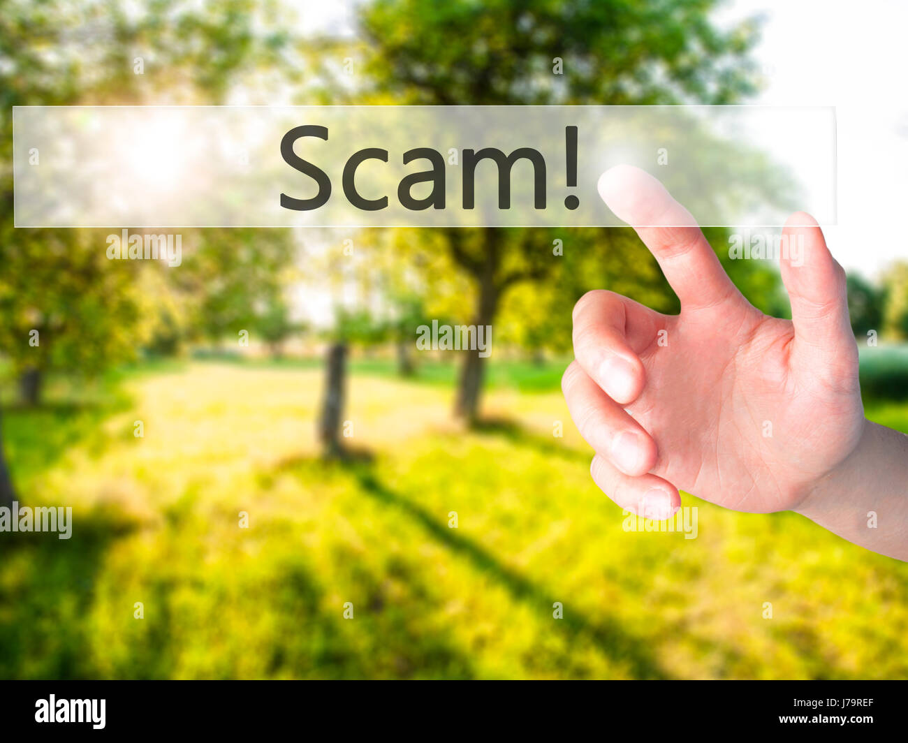 Scam! - Hand pressing a button on blurred background concept . Business ...