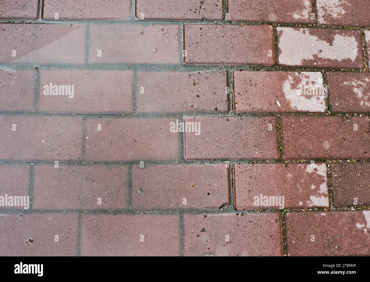 rain puddles on a pavement in the city, wet floor Stock Photo - Alamy