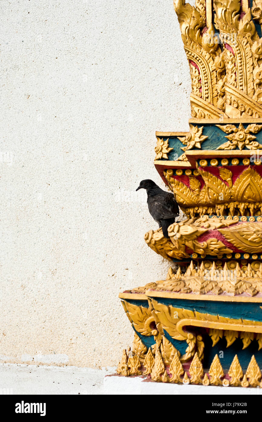 Crow on temple wat thai hi-res stock photography and images - Alamy