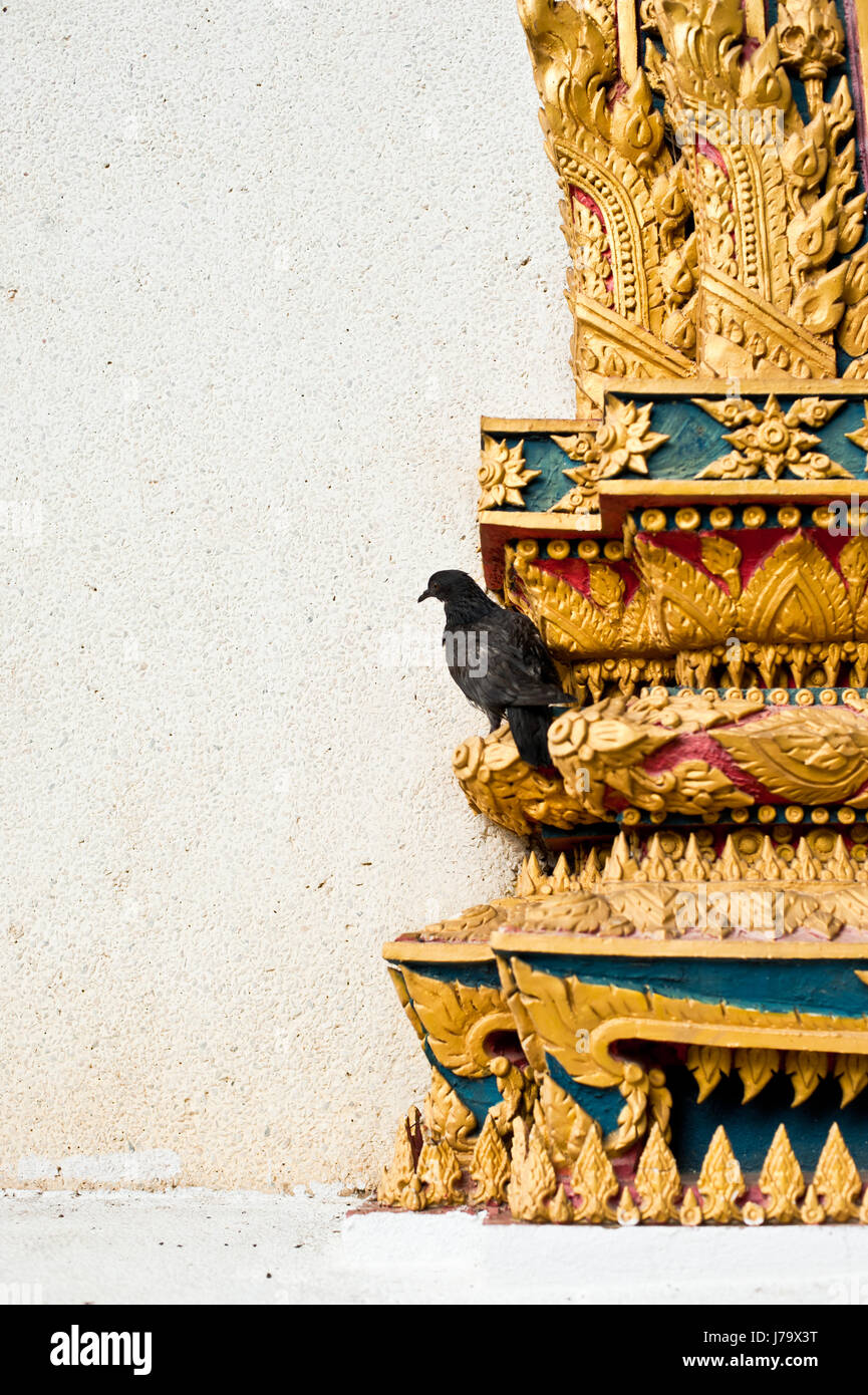 Crow on temple wat thai hi-res stock photography and images - Alamy