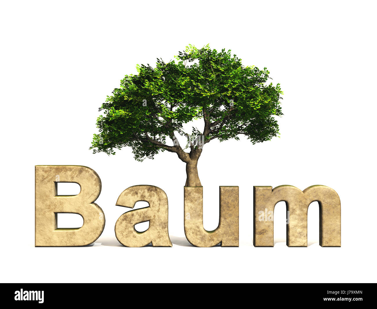 3d tree font with tree Stock Photo - Alamy