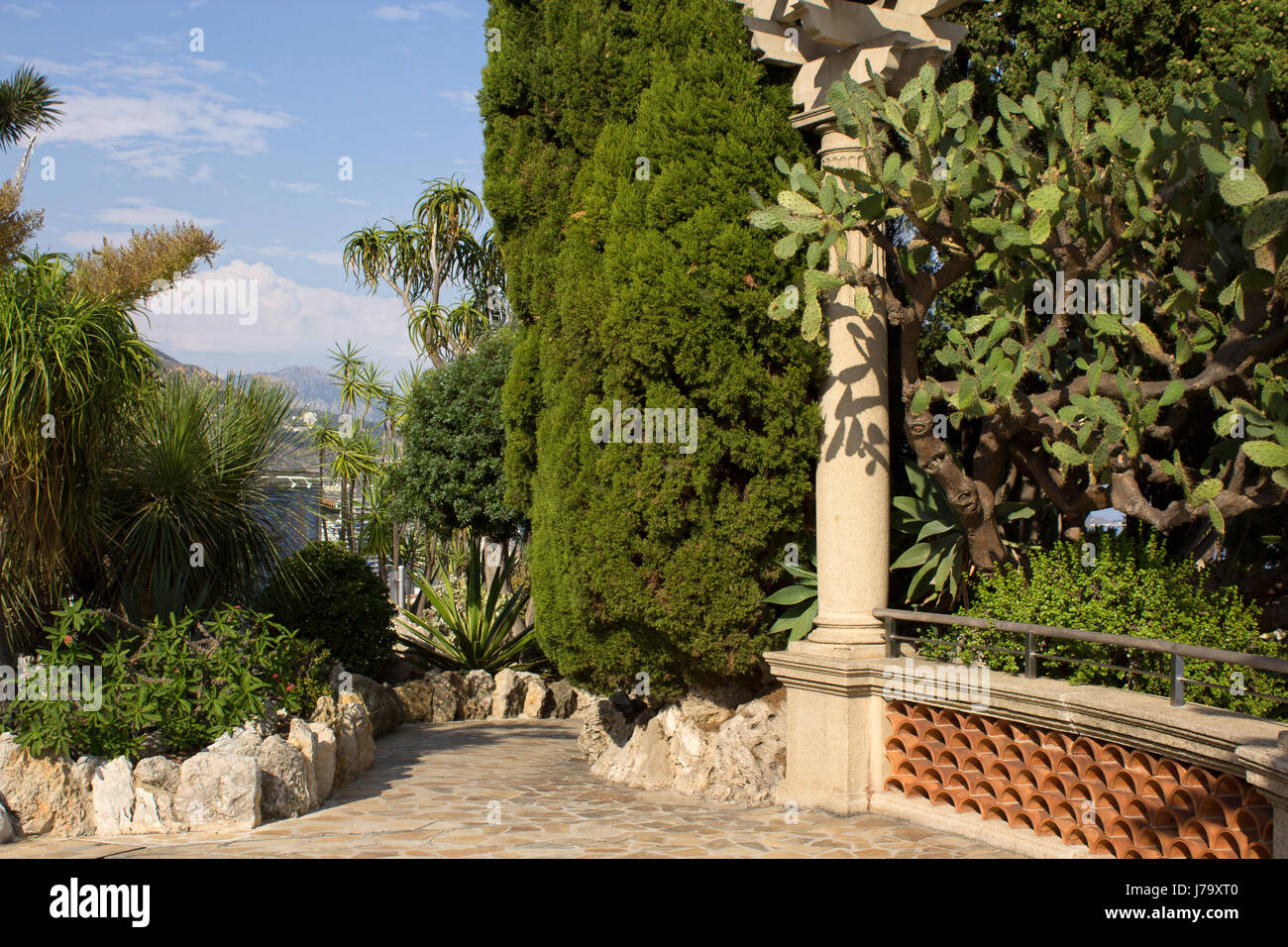 Exotic garden of Monaco, jardins exotique de Monaco: collection of ...