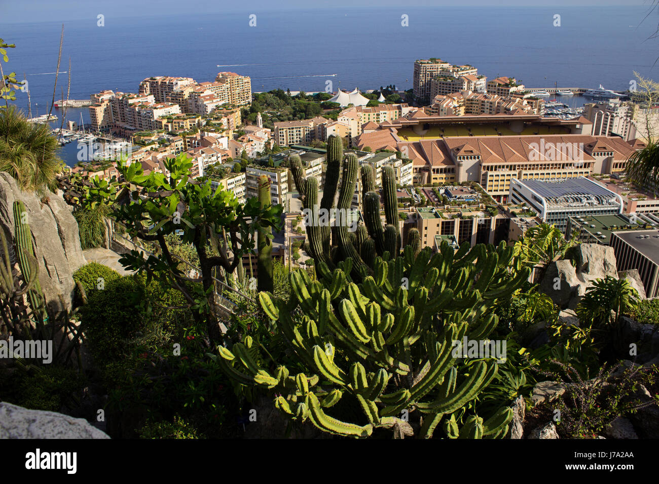 Exotic garden of Monaco, jardins exotique de Monaco: collection of ...