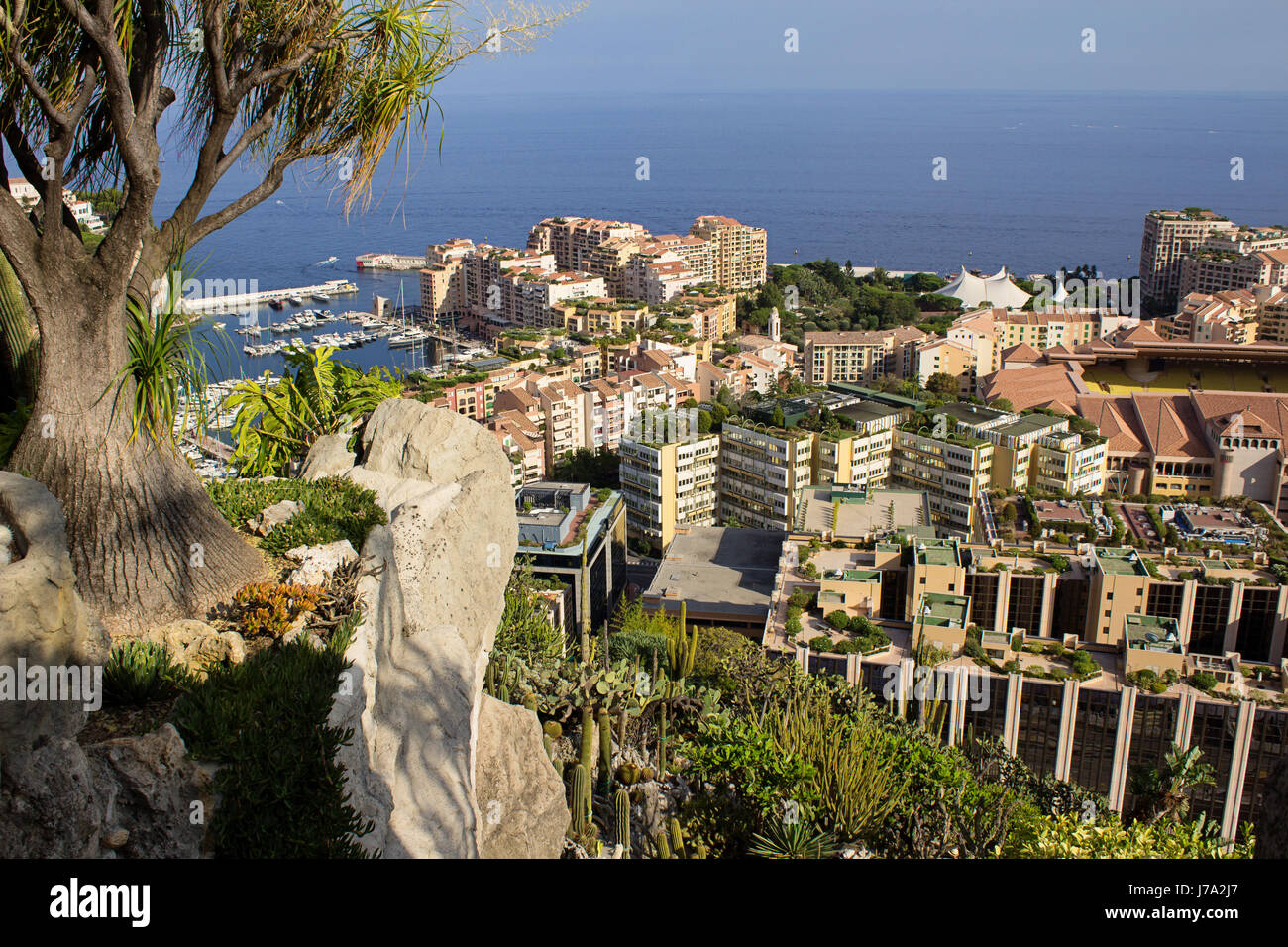 Exotic garden of Monaco, jardins exotique de Monaco: collection of ...