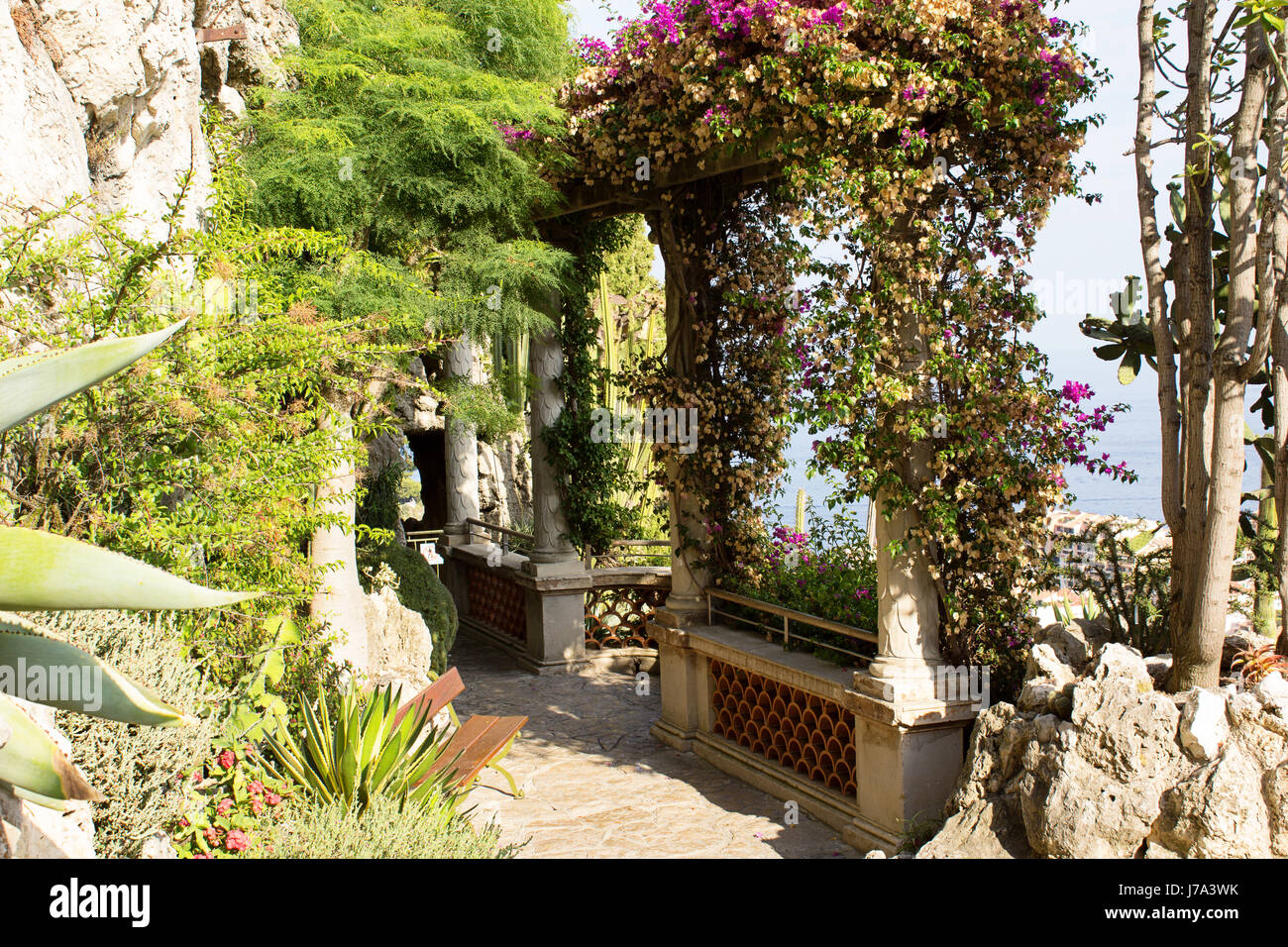 Exotic garden of Monaco, jardins exotique de Monaco: collection of ...