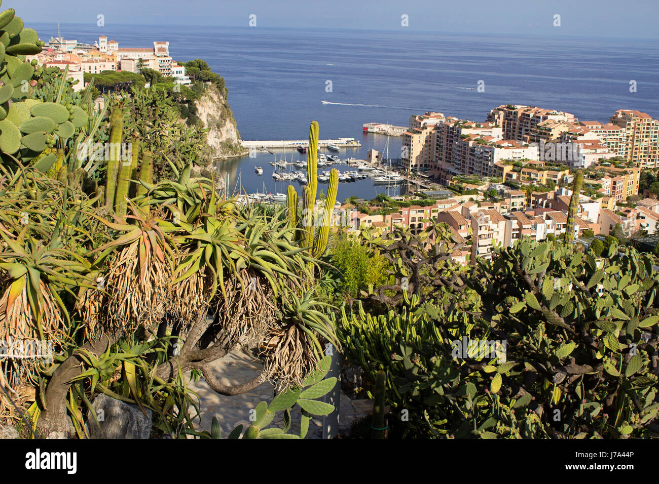Exotic garden of Monaco, jardins exotique de Monaco: collection of ...